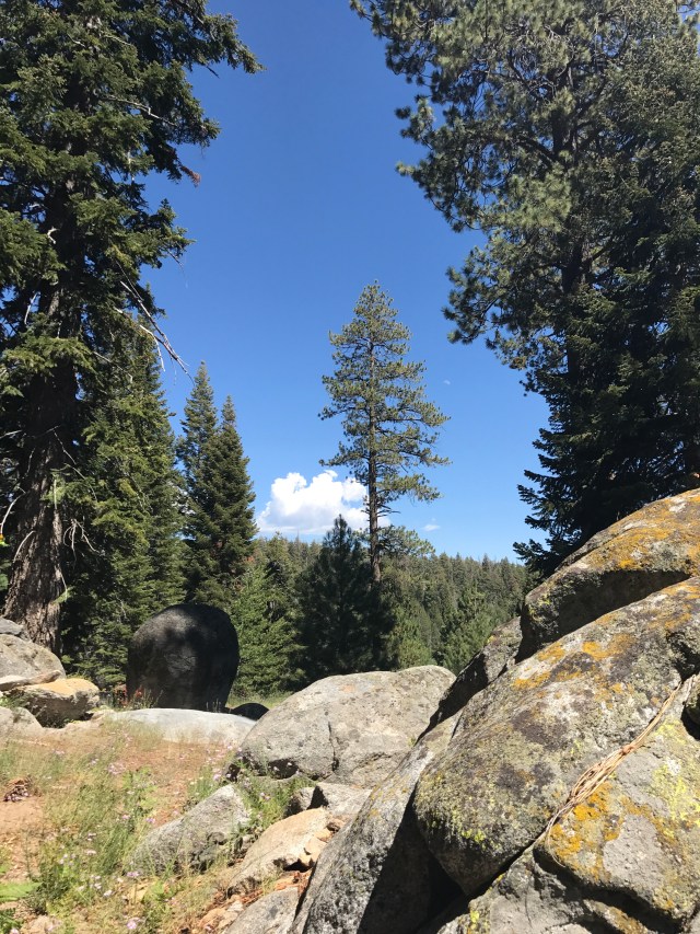 Ponderosa, Ca | Located in the beautiful Southern Sierras 36:06:20N 118 ...