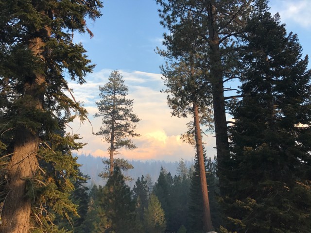 Ponderosa, Ca | Located in the beautiful Southern Sierras 36:06:20N 118 ...