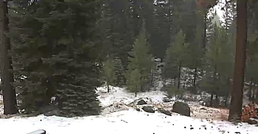 The First Dusting of Snow! | Ponderosa, Ca